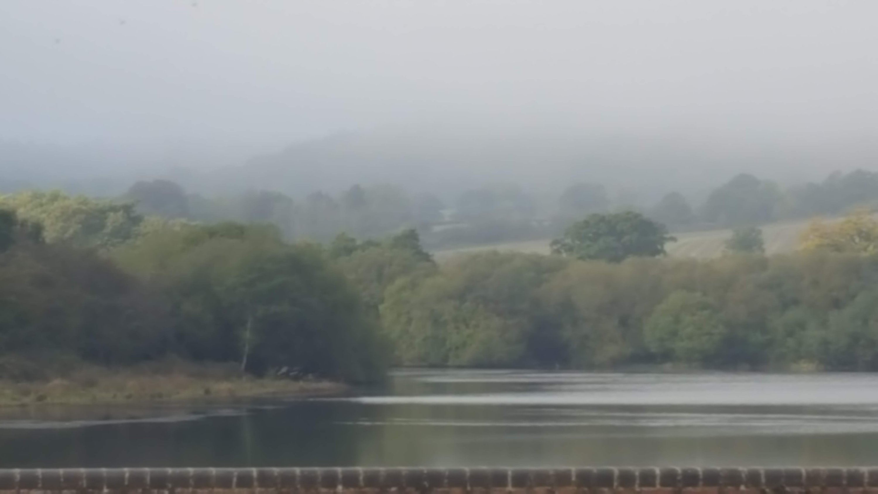 Weird Pride Day #WeirdPrideDay 4 March – Ausome Charlie